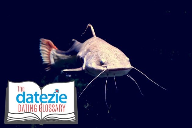 Dating Glossary: Catfishing - Datezie